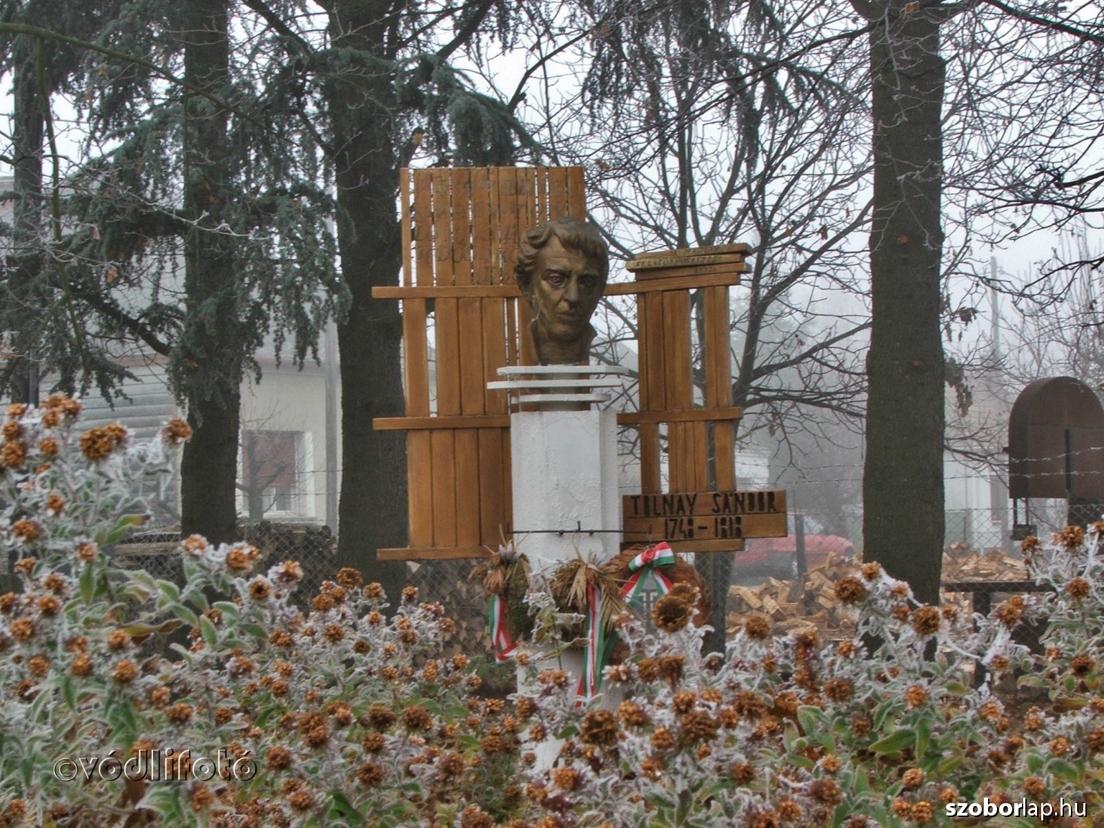 Tolnay Sándor szobra – Köztérkép