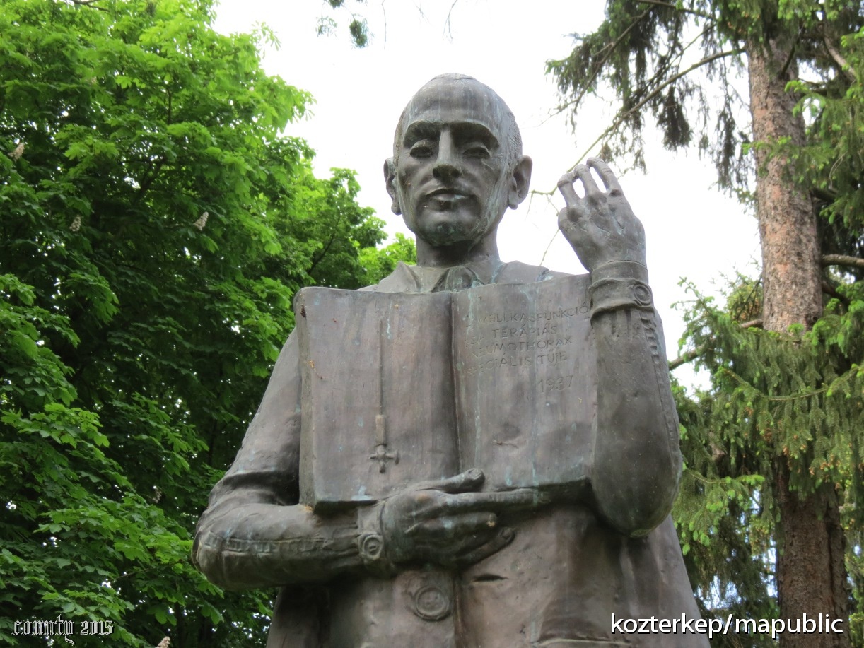 Dr. Veres János – Köztérkép