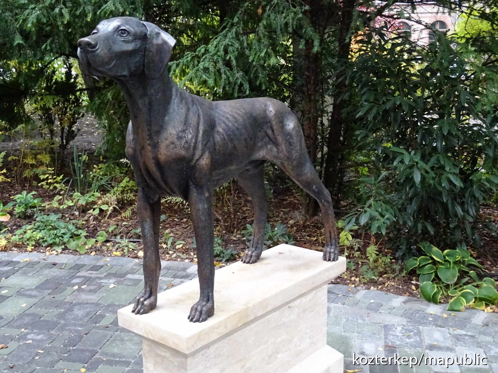 Erdélyi kopó – Köztérkép