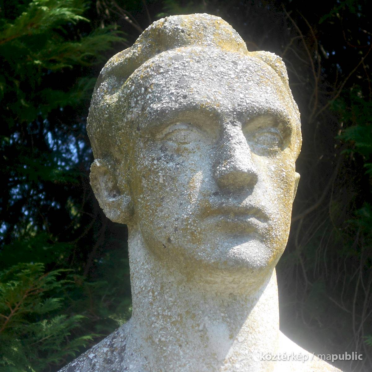 Csík Ferenc síremléke – Köztérkép