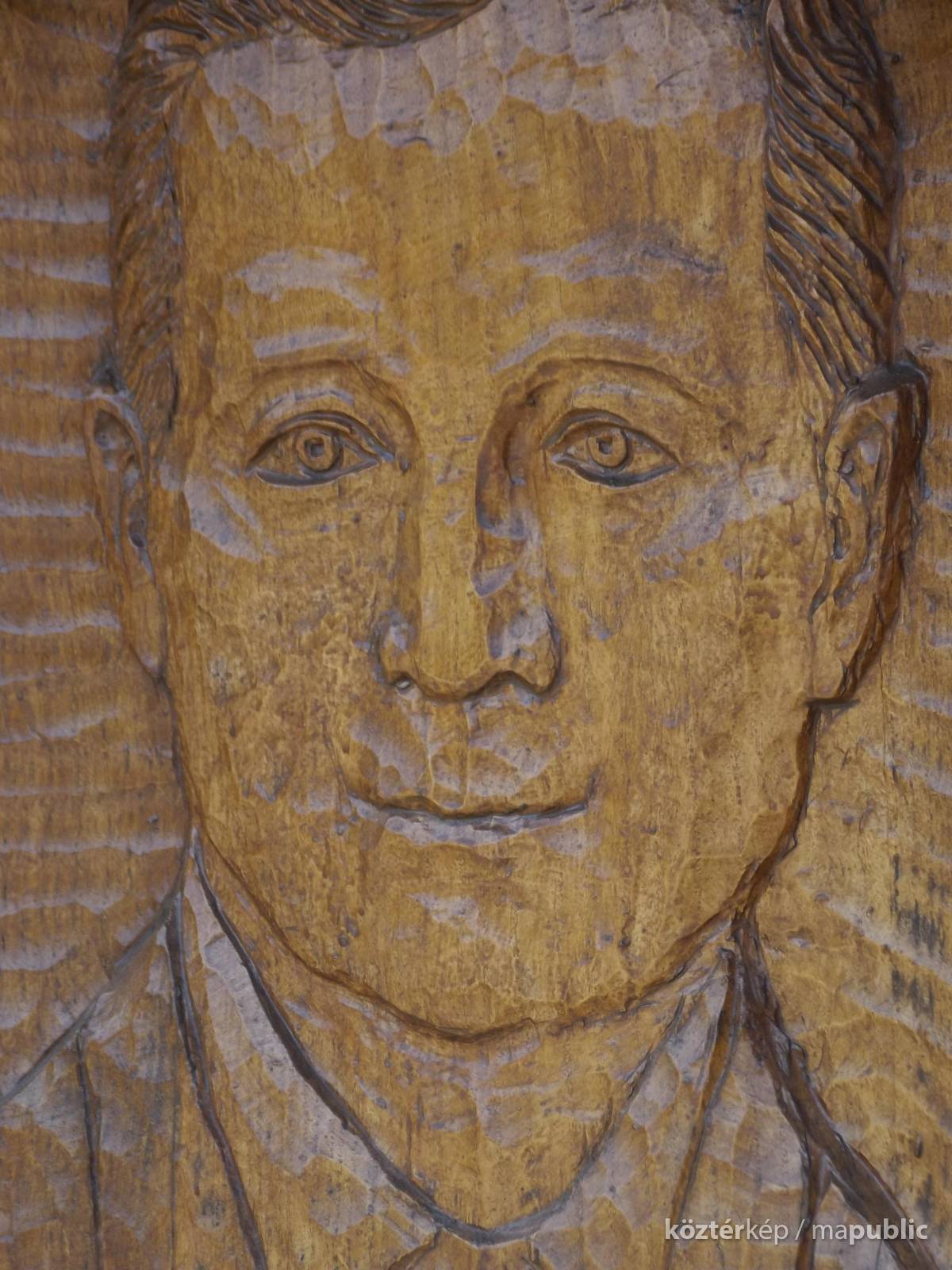 Wass Albert – Köztérkép