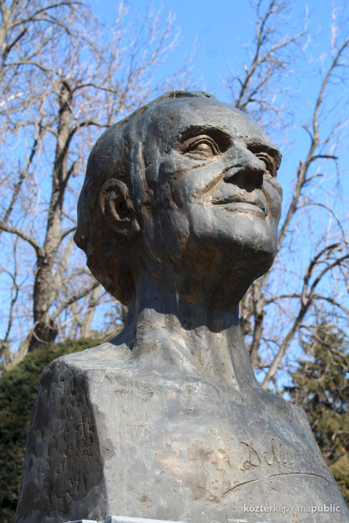 Deliu Petroiu – Köztérkép