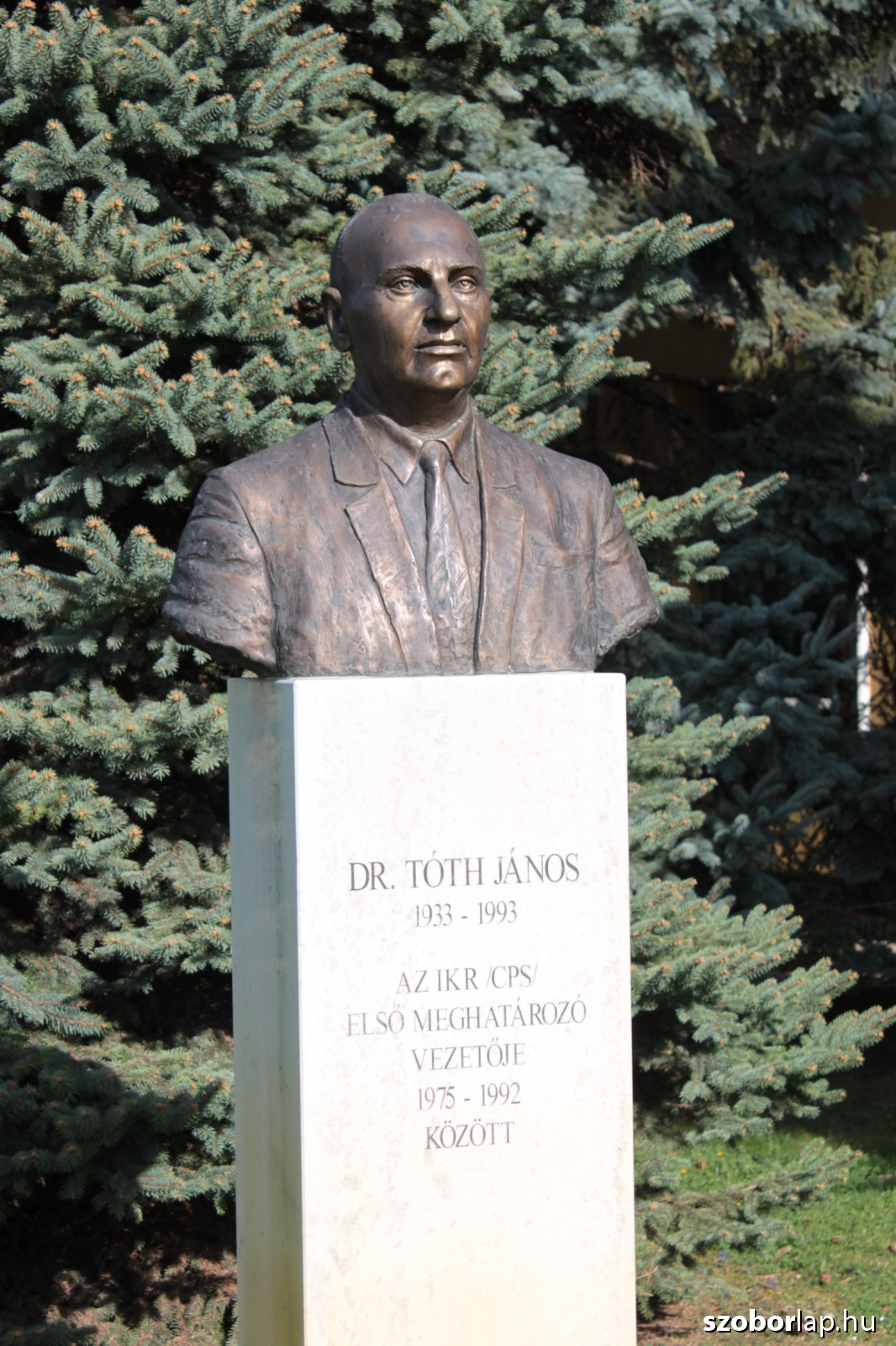 Dr. Tóth János – Köztérkép